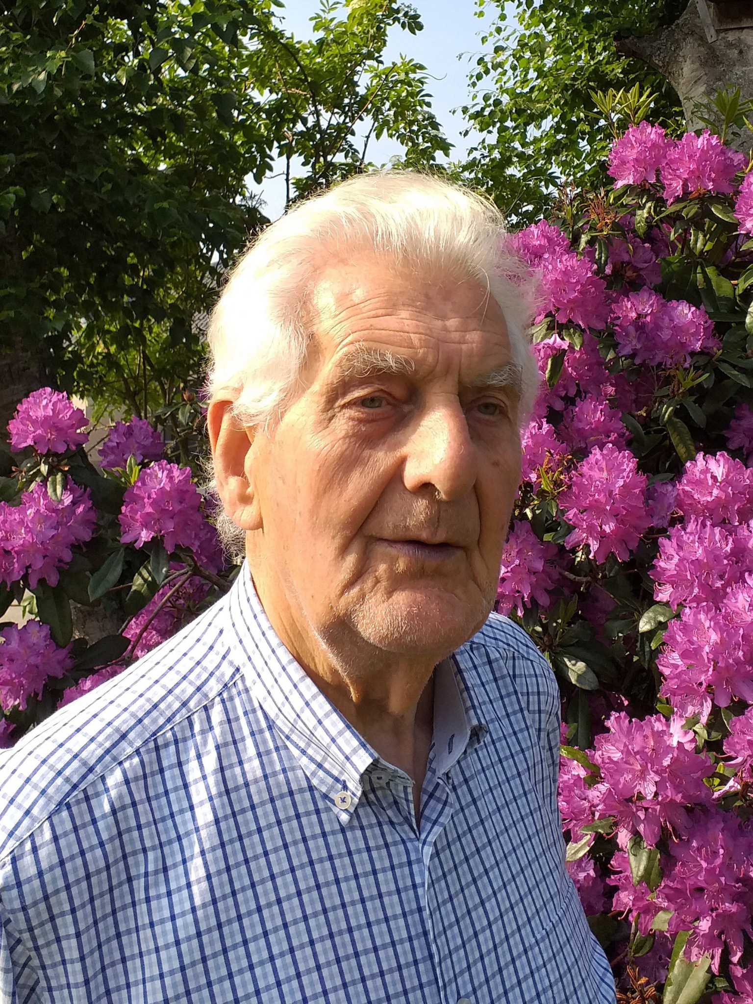 Archieven: Overlijdens berichten | Valentijn Crynen